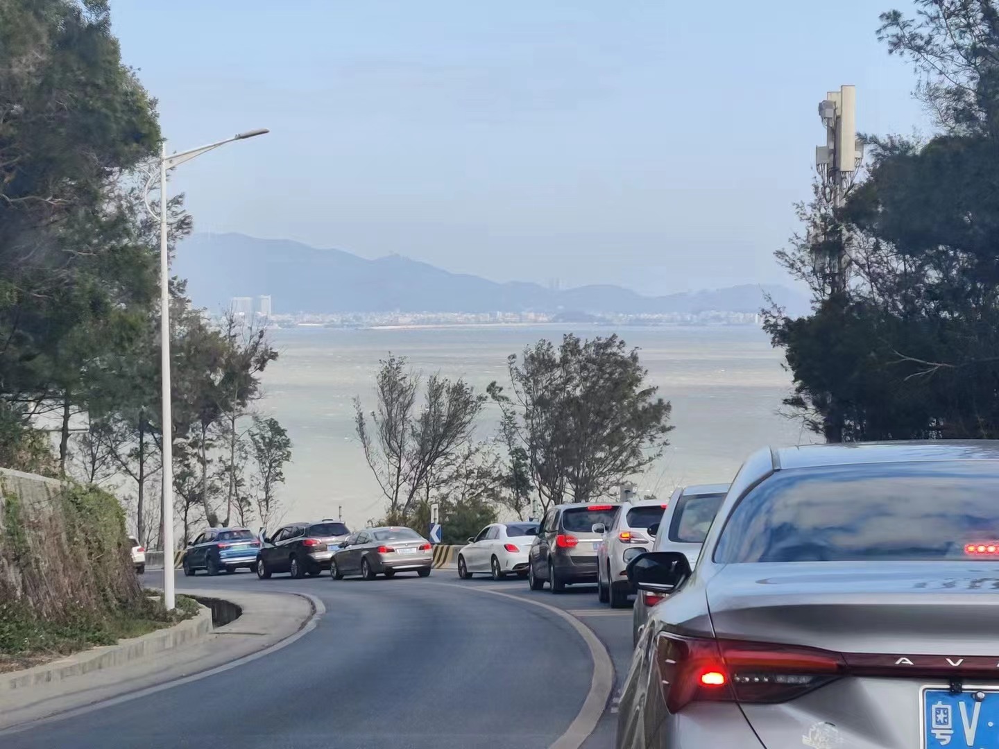 陈昕杨个人主页